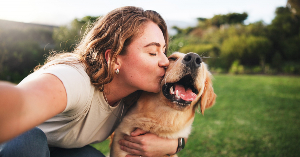 L'adoption d'un chien ou d'un chat : comment adopter un animal