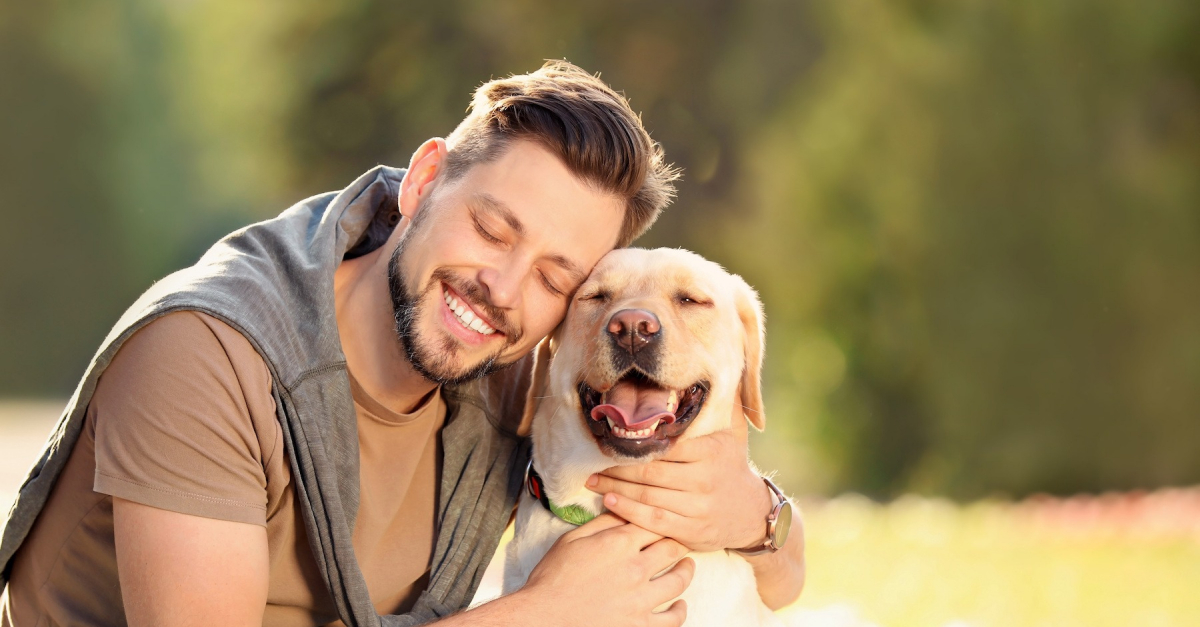 L'adoption d'un chien : comment adopter un animal dans un refuge ou un ...